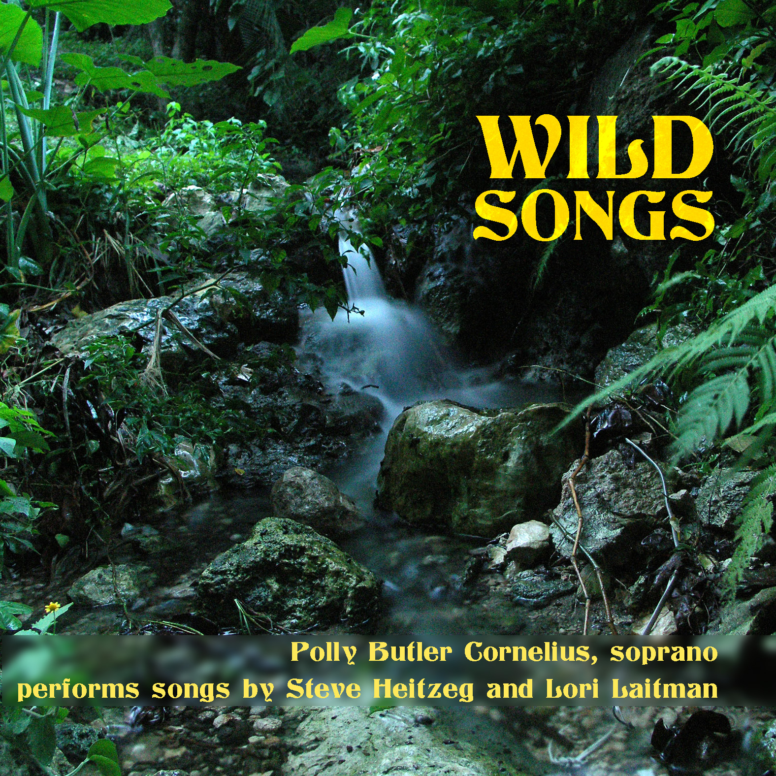 Wild Songs - Steve Heitzeg, Composer